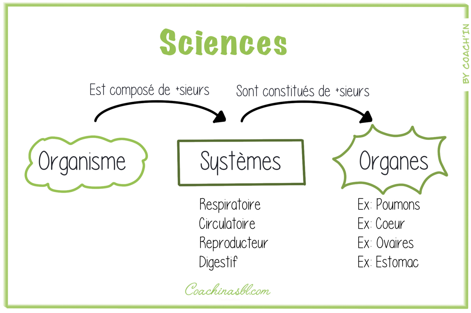 CE1D Sciences | Synthèses